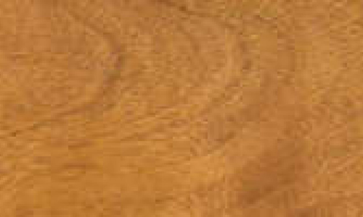 Acajou fiche essence – Bois Delta